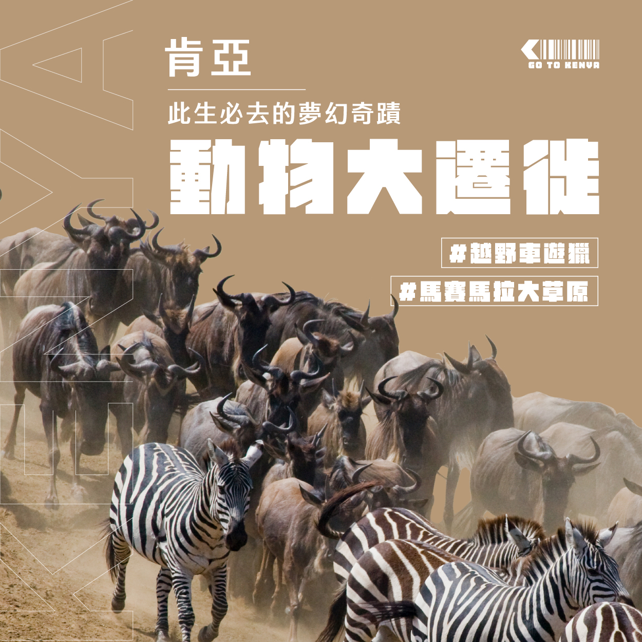 元本旅遊 夢想清單的實現者，深度中南美、歐洲、郵輪、日本、滑雪規劃專家，元本旅行社